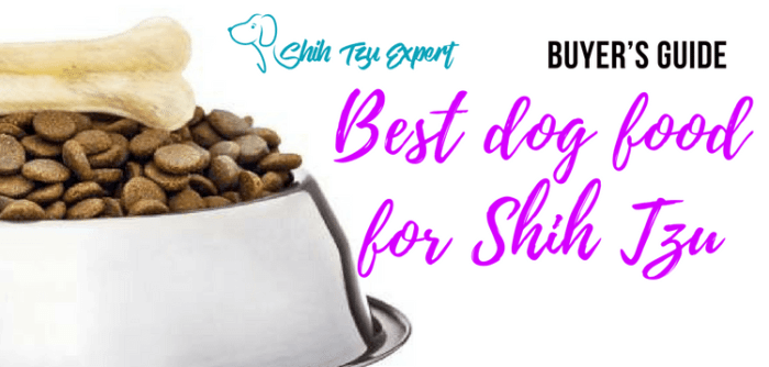 Prapso Shih Tzu [Your Ultimate Guide] - Shih Tzu Expert