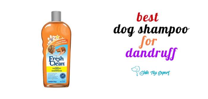 Best Dog Shampoo For Dandruff [Top 8 Products on the Market]